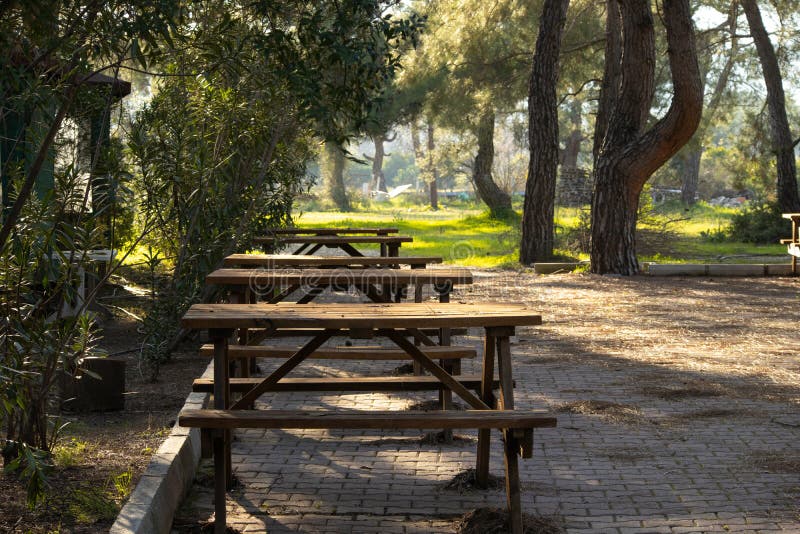 A Composition of Wooden Tables Forming a Line Stretching into the ...