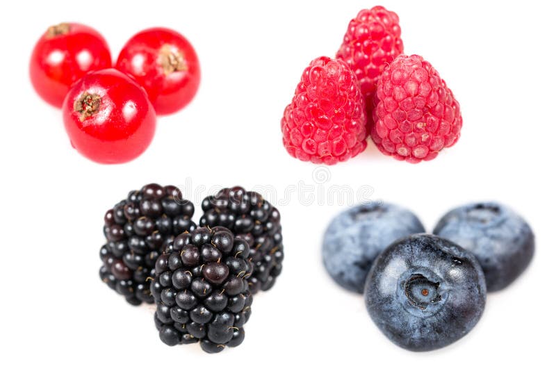 Compositions of Berries Isolated with White Background Stock Photo ...