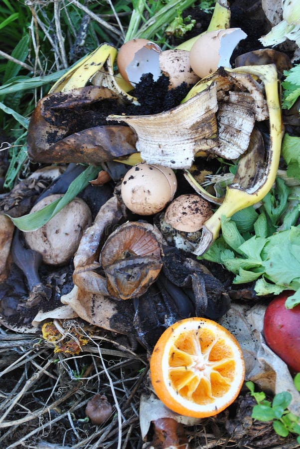 Compost stock image. Image of nutritious, decompose, composting - 19414419