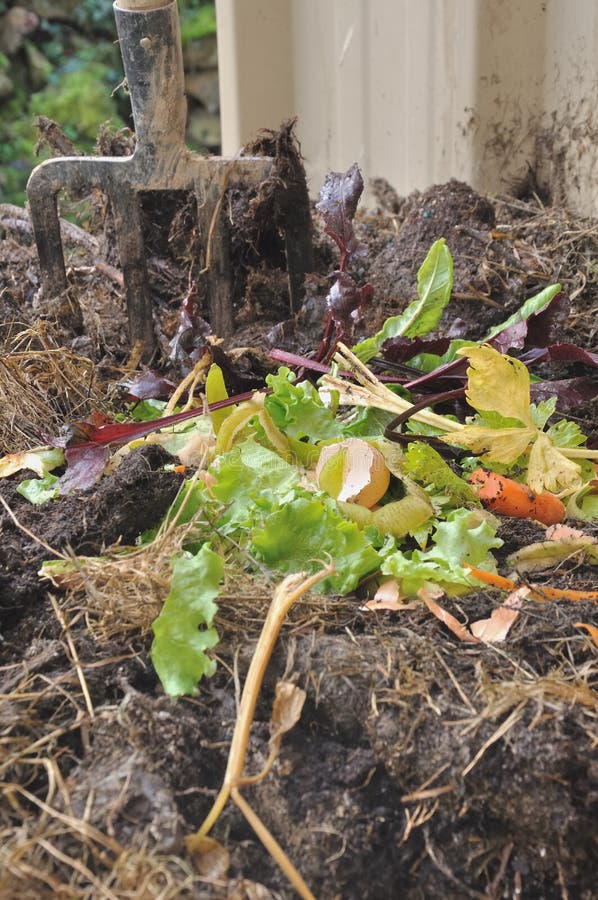 Composting stock photo. Image of natural, biologically - 5753800