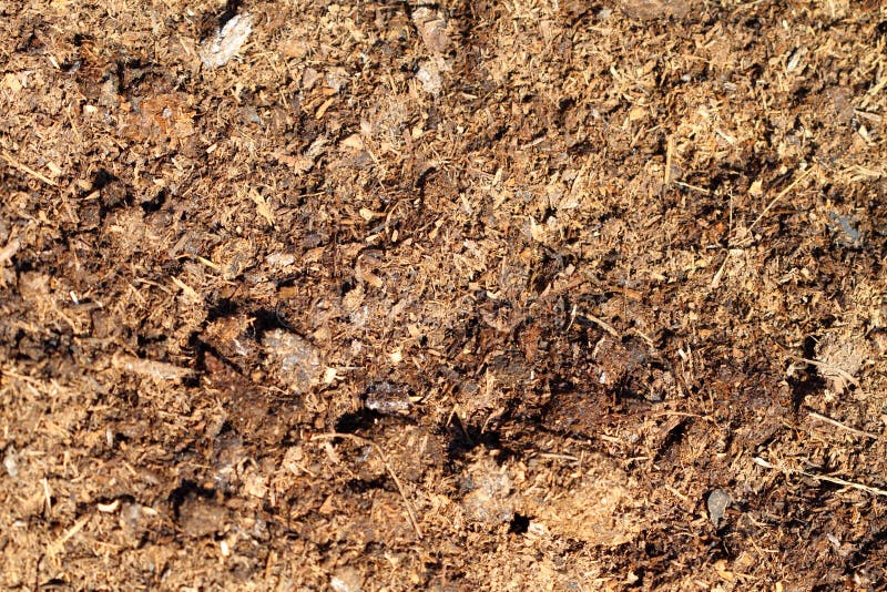 Compost background stock photo. Image of abstract, land - 19478806