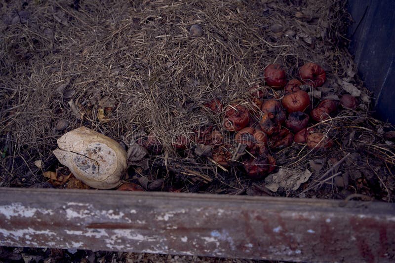 Compost Barrier, Home Processing of Organic Waste Stock Photo - Image ...
