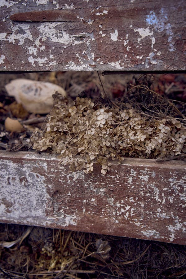 Compost Barrier, Home Processing of Organic Waste Stock Image - Image ...