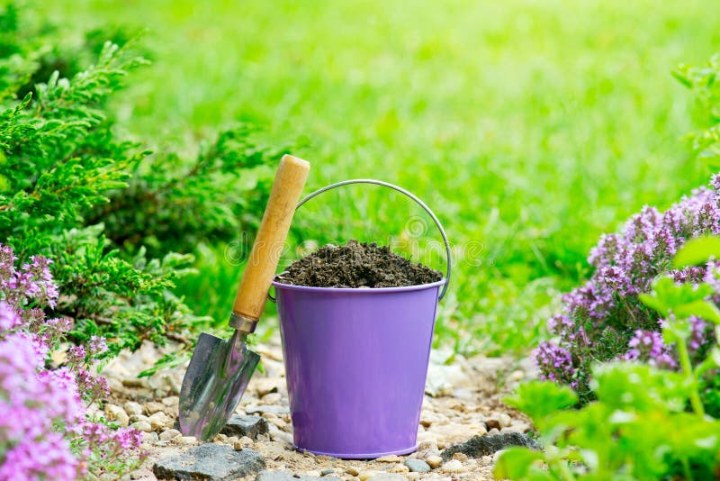 Compost in the Basket in the Garden, Concept Composting Stock Photo ...