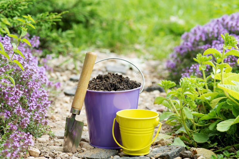 Compost in the Basket in the Garden, Concept Composting Stock Photo ...