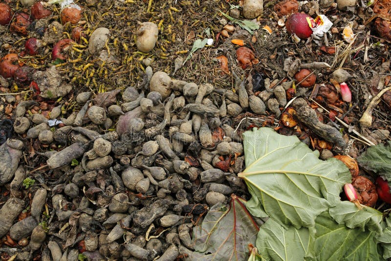 Compost Background Stock Images - Download 7,170 Royalty Free Photos