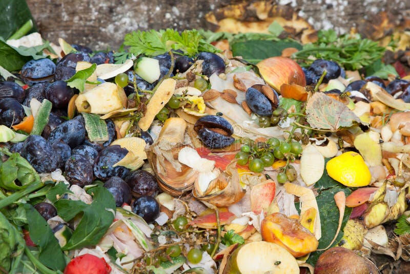 Compost bin stock photo. Image of friendly, compost, family - 34249734