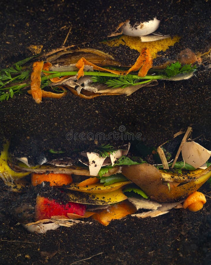 Compost - Biodegradable Kitchen Waste and Soil. Layers of Biowaste ...