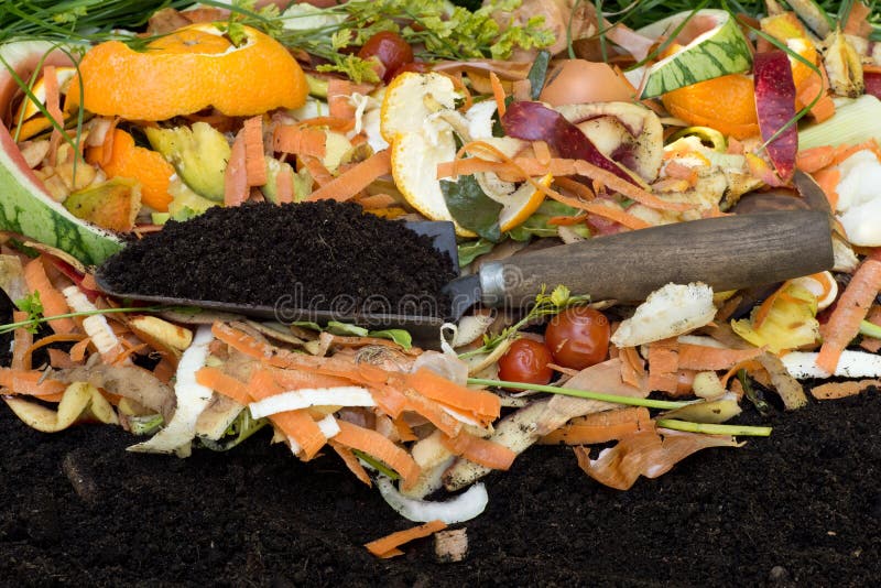 Compost Bucket stock image. Image of fruit, chop, gardening - 34443903