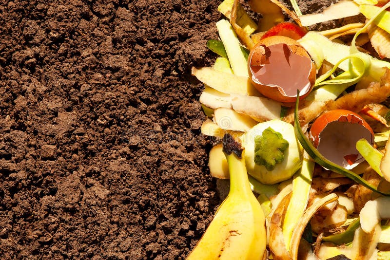 Organic Waste for Composting on the Soil. Stock Photo - Image of ...
