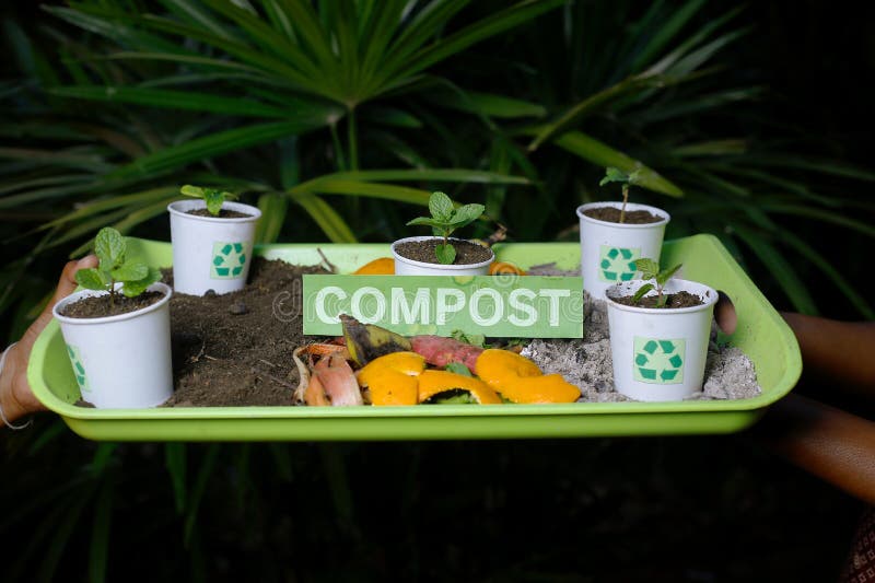Compost and Composted Soil Recycle on Waste Paper Cups Stock Photo ...