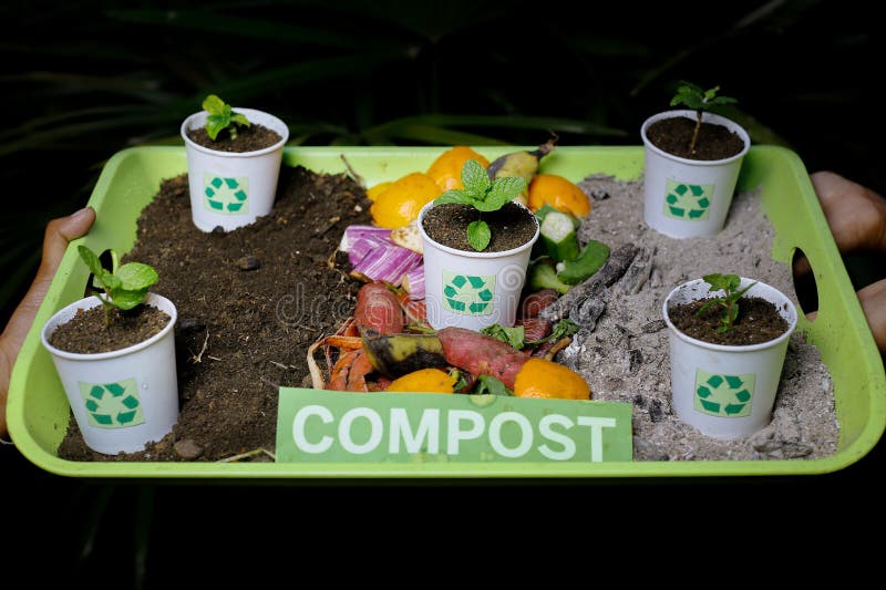 Compost and Composted Soil Recycle on Waste Paper Cups Stock Image ...