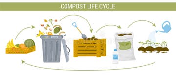 Compost Composting Colored Flat Infographic Stock Vector - Illustration ...