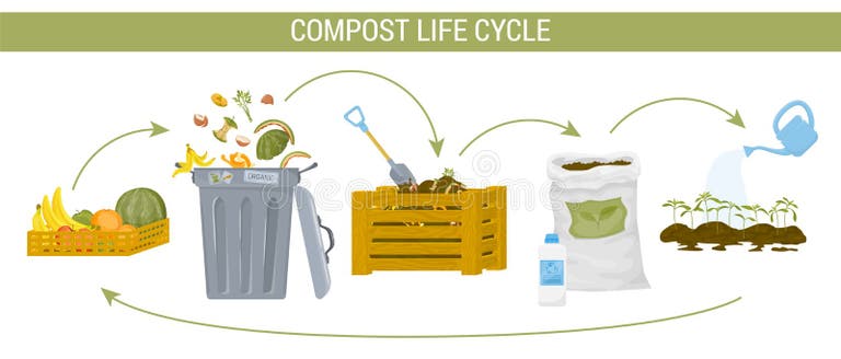 Compost Composting Colored Flat Infographic Stock Vector - Illustration ...