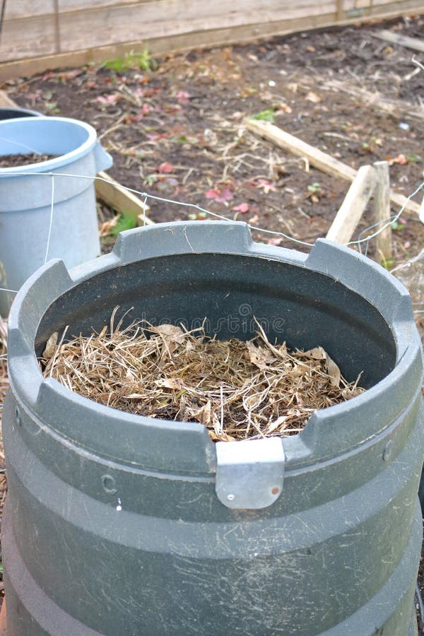 Compost Container or Barrel Stock Photo - Image of plastic, foreground ...