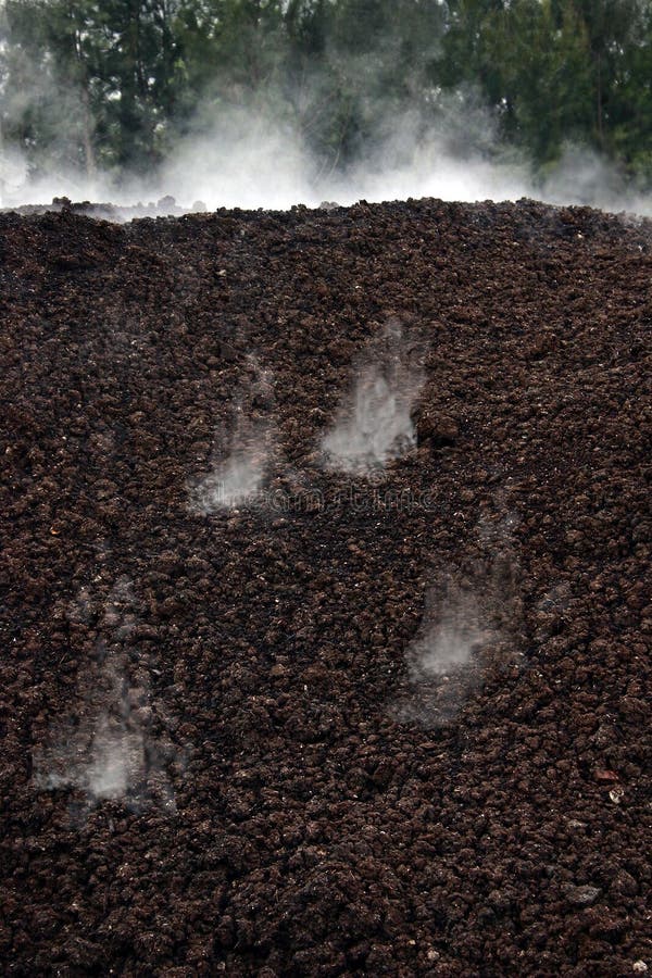 Compost fermentation stock image. Image of gardening, garden - 620653