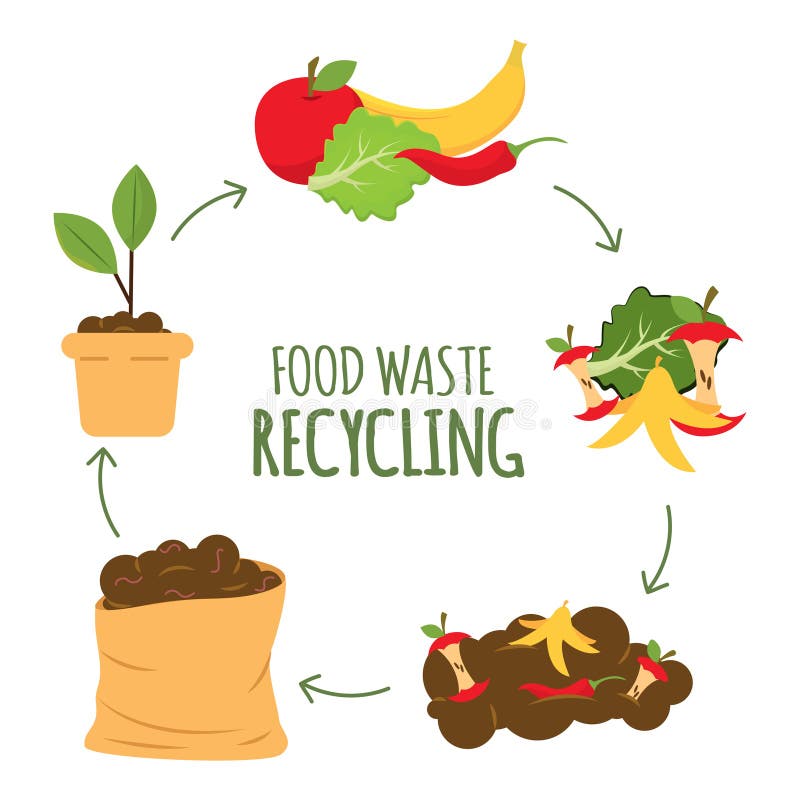 Compost Food Cycle Chart. Vector Stock Illustration - Illustration of ...