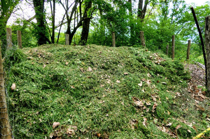 Compost Heap stock photo. Image of garbage, fruit, composting - 277559540