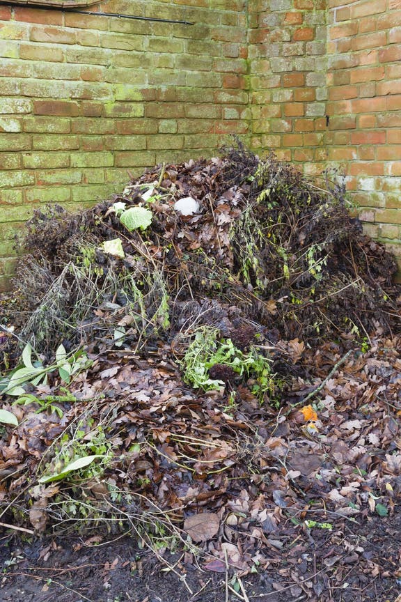 Compost Heap, Garden Compost Stock Image - Image of backyard, food ...