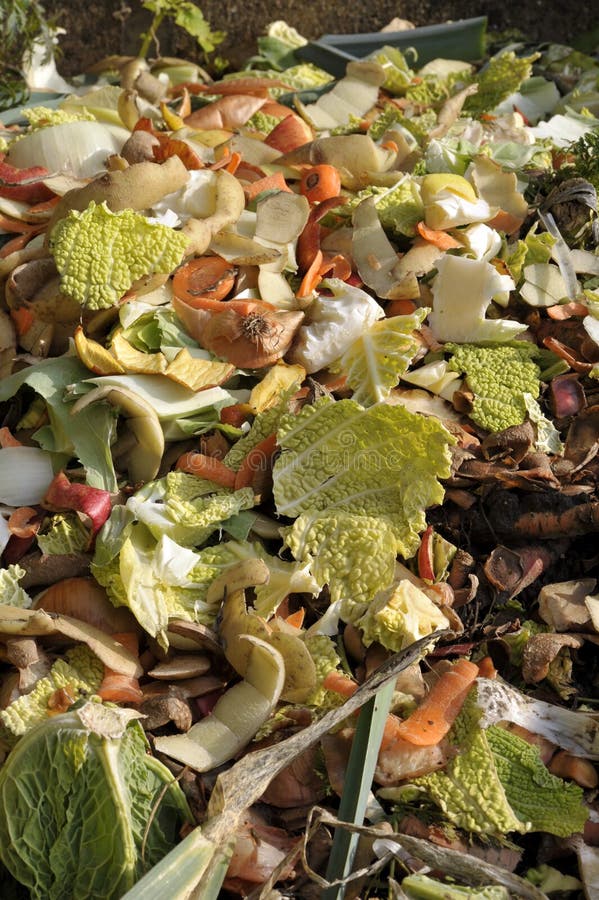 Compost heap stock photo. Image of composting, foods - 68229062