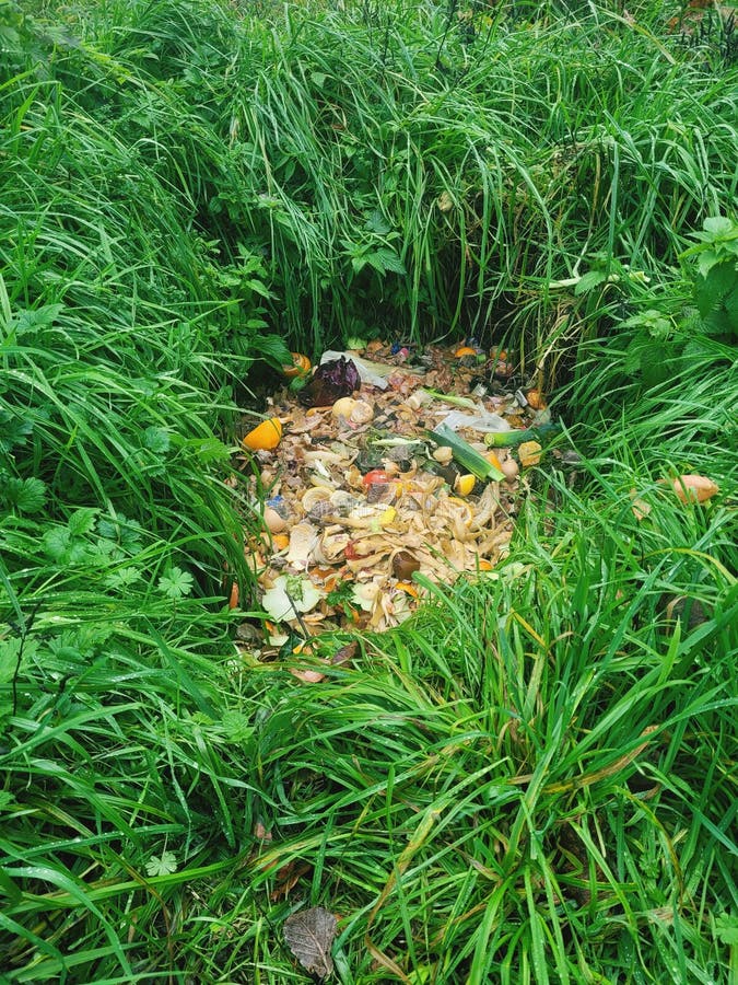 Compost at Home in a Garden Stock Photo - Image of plant, forest: 264523362