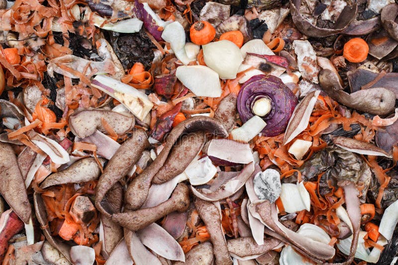 Compost Peelings stock image. Image of decompose, peeling - 264351003