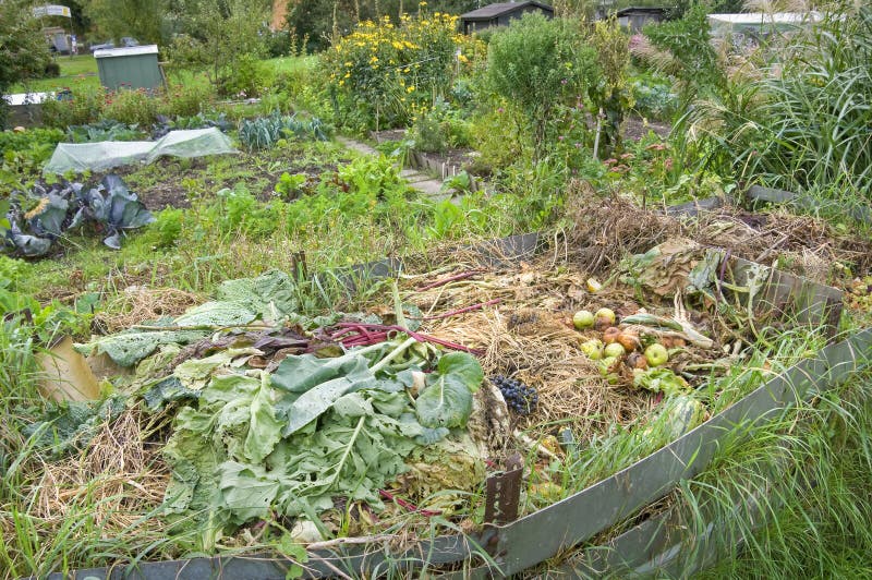 Compost Pile stock photo. Image of natural, waste, plant - 18835406