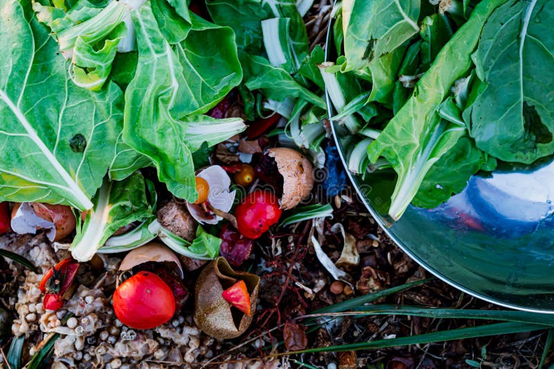 Compost Pile, Decomposing Organic Waste, Biodegradable Waste Like ...