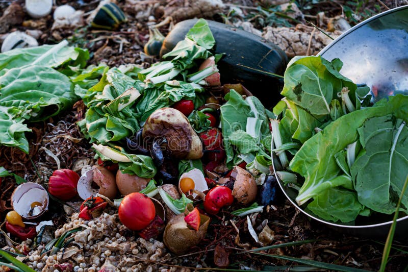 Compost Pile, Decomposing Organic Waste, Biodegradable Waste Like ...