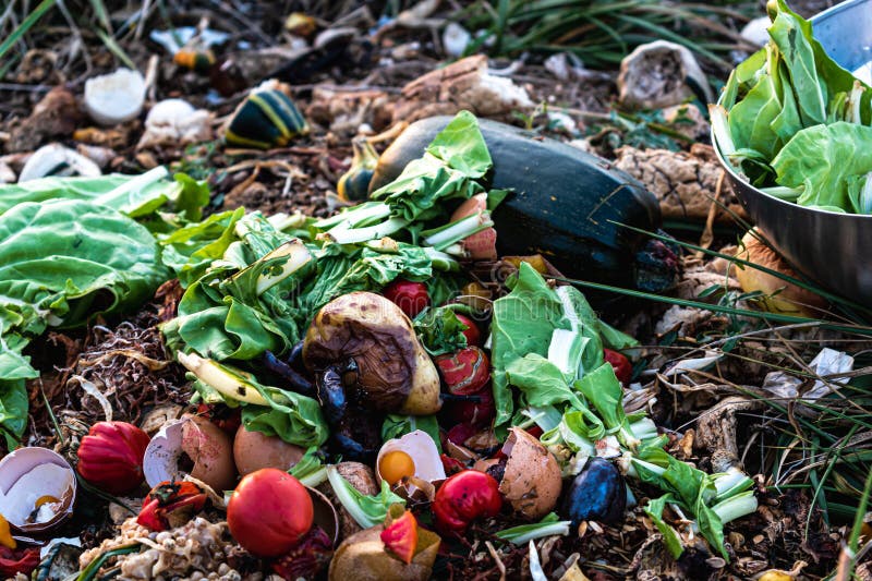 Compost Pile, Decomposing Organic Waste, Biodegradable Waste Like ...