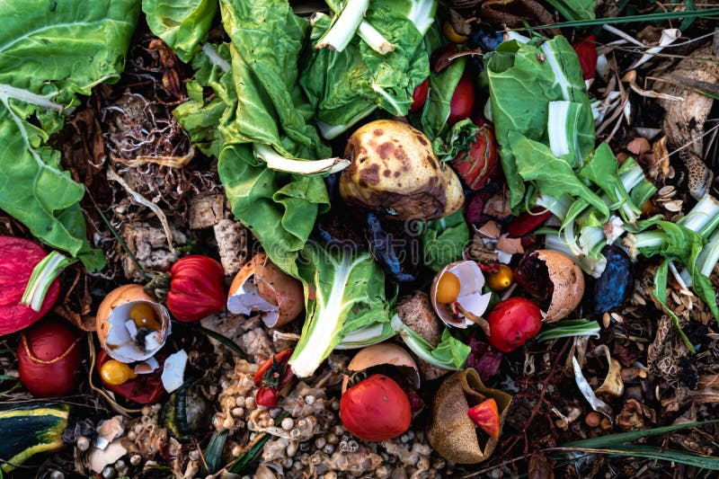 Compost Pile, Decomposing Organic Waste, Biodegradable Waste Like ...