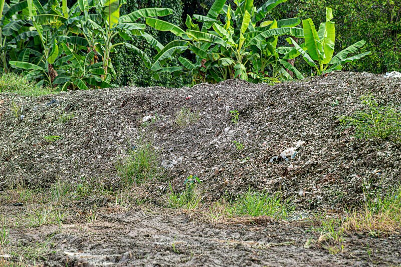 Compost Piles are Full of Soil Microorganisms. Farming is Done Using ...