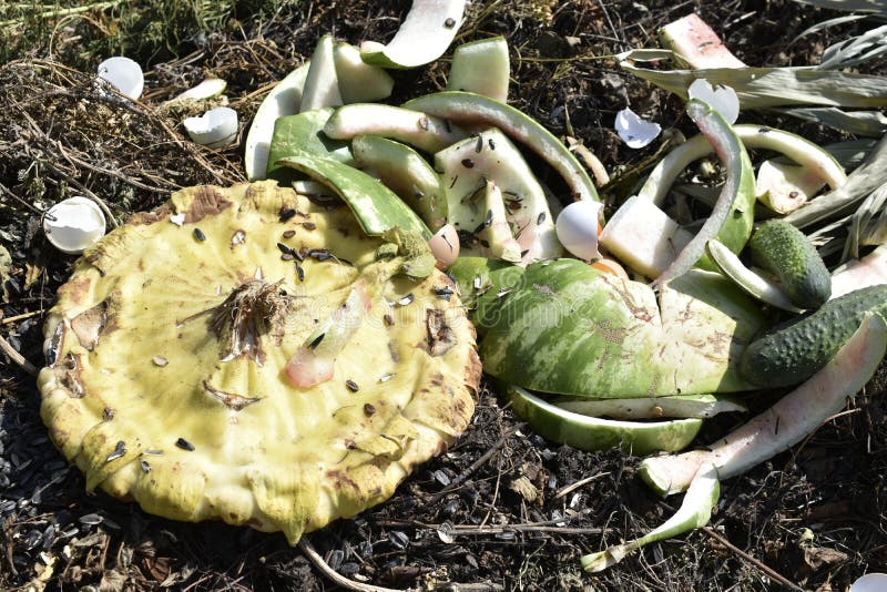 Compost Pit with Rotting Vegetables in the Garden Stock Photo - Image ...