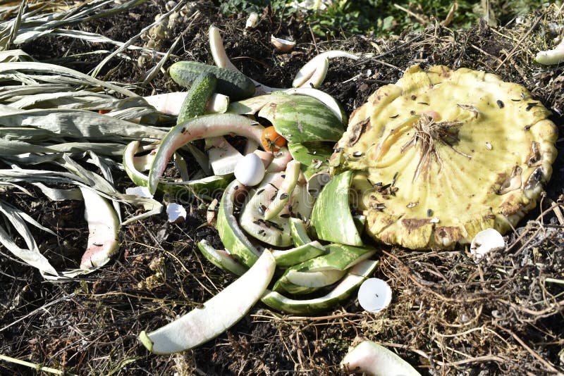 Compost Pit with Rotting Vegetables in the Garden Stock Image - Image ...
