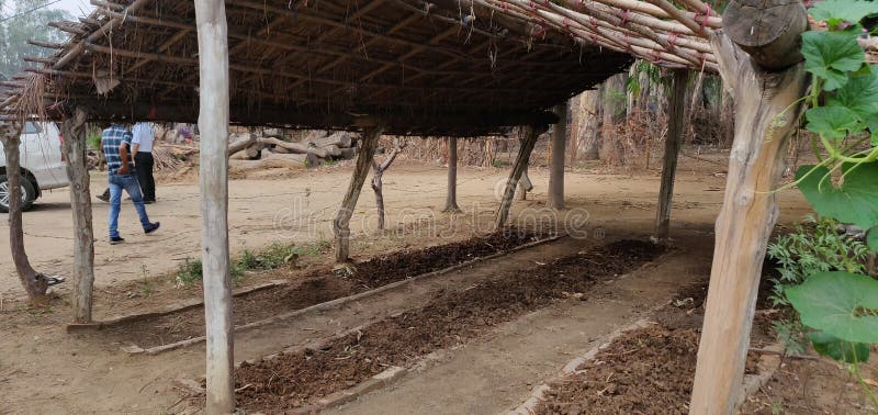 Vermicompost Pit Stock Photos - Free & Royalty-Free Stock Photos from ...