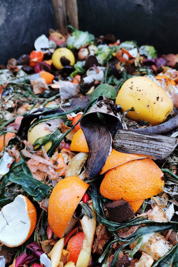 Compost Texture from Household Waste Stock Image - Image of nature ...