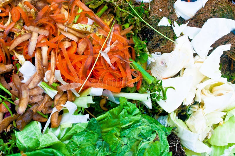 Composting stock photo. Image of natural, biologically - 5753800