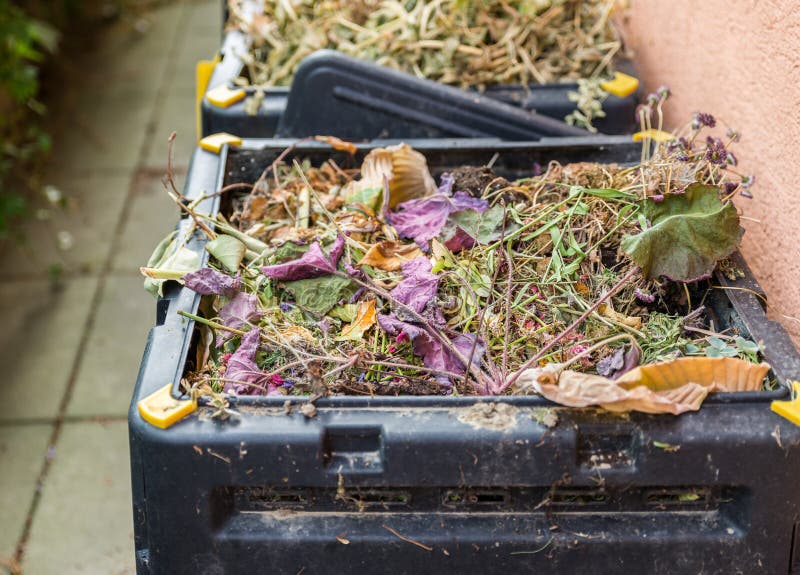 Compost,waste in bin. stock image. Image of household - 95269711