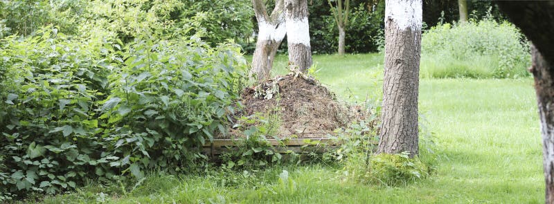 Composthoop in Een Natuurlijke Tuin Stock Afbeelding - Image of netel ...