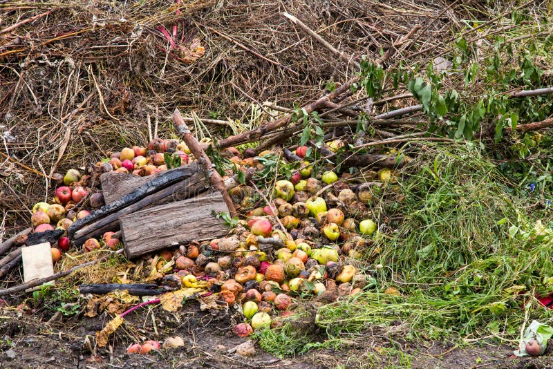 Composthoop Met Vruchtbare Grond in De Groene Tuin Stock Afbeelding ...