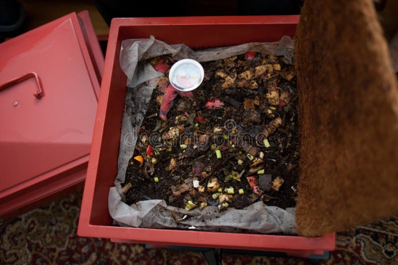 Composting stock photo. Image of composting, fertilizer - 52482684