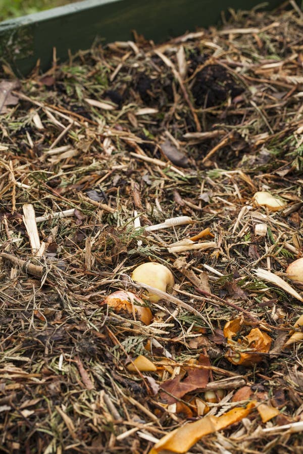 Composting stock image. Image of garden, decomposed, composting - 58988421