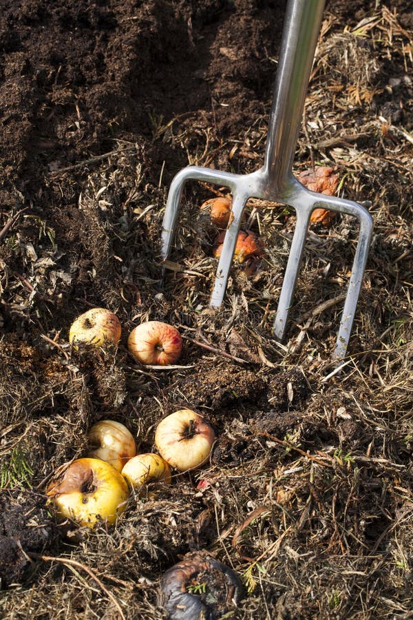 Composting stock image. Image of happy, helix, garbage - 58987451