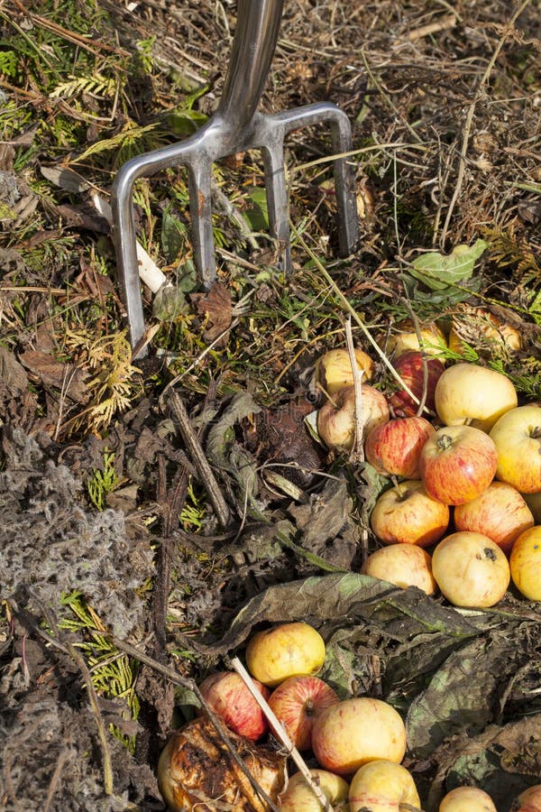 Composting stock photo. Image of leaf, composting, natural - 66255084