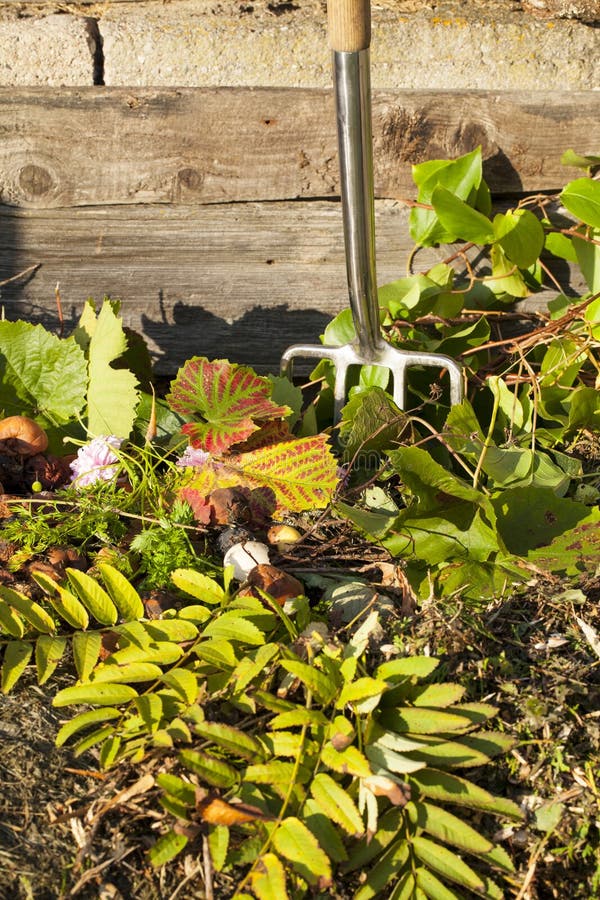 Composting stock image. Image of environment, organic - 66255197