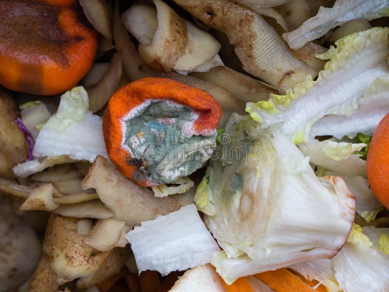 Composting How To Recycle Biowaste Stock Photo - Image of food ...