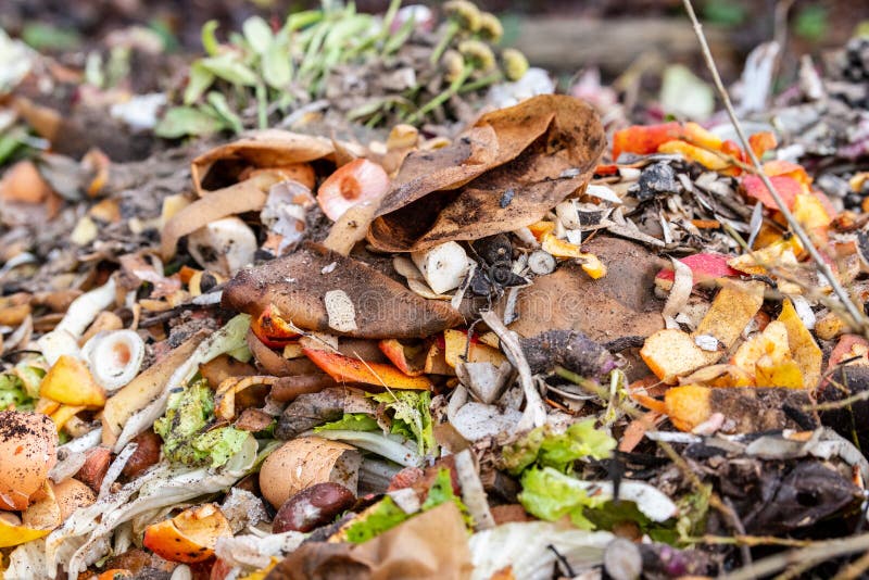 Composting the Kitchen Waste Stock Image - Image of garbage ...