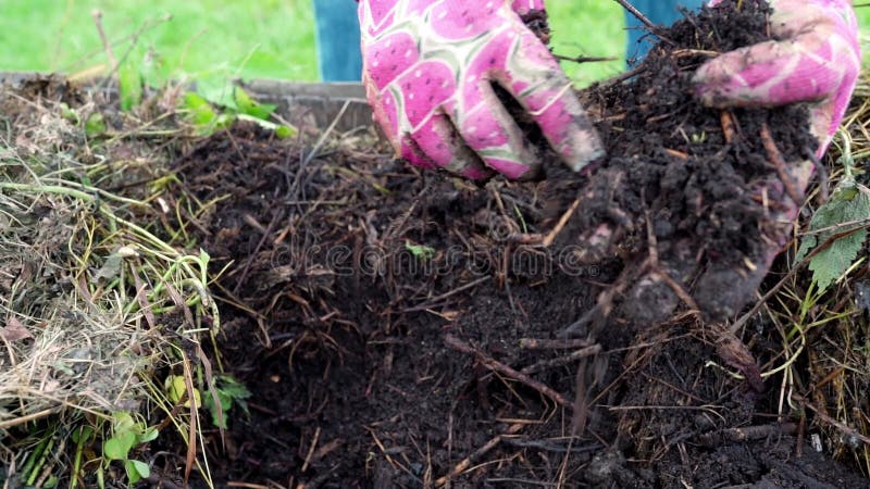 Composting Natural Waste in Garden into Compost Bin Stock Video - Video ... Composting Natural Waste in Garden into Compost Bin Stock Video - Video ...