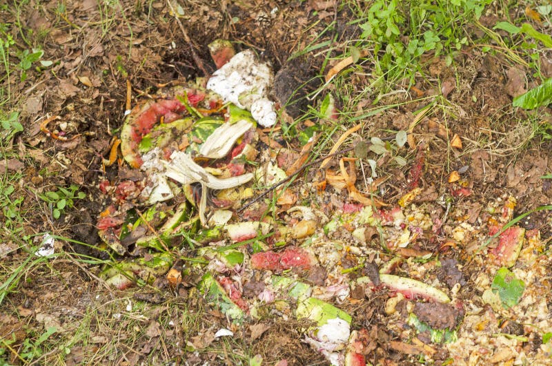 Composting Pile of Rotting Kitchen Fruits and Vegetable Scraps Stacked ...
