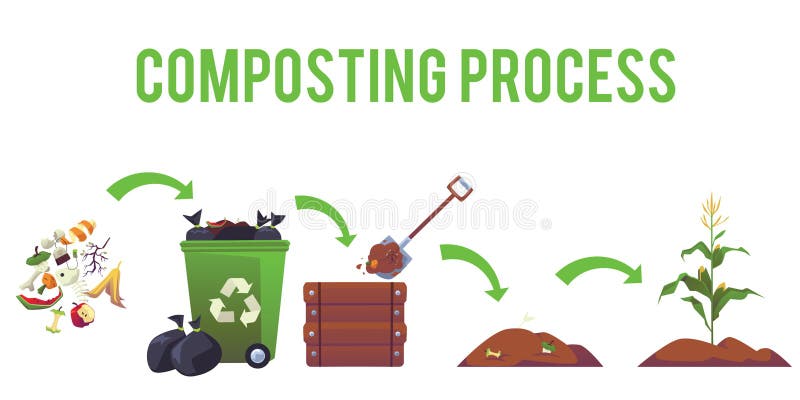 Composting Process Stages and Arrows Flat Style, Vector Illustration ...